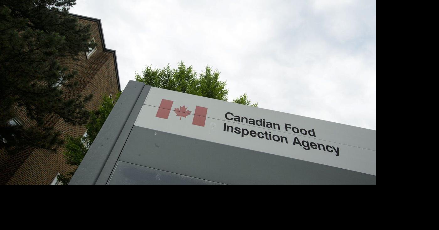 Canadian Food Inspection Agency finds rare disease at B.C. commercial ...