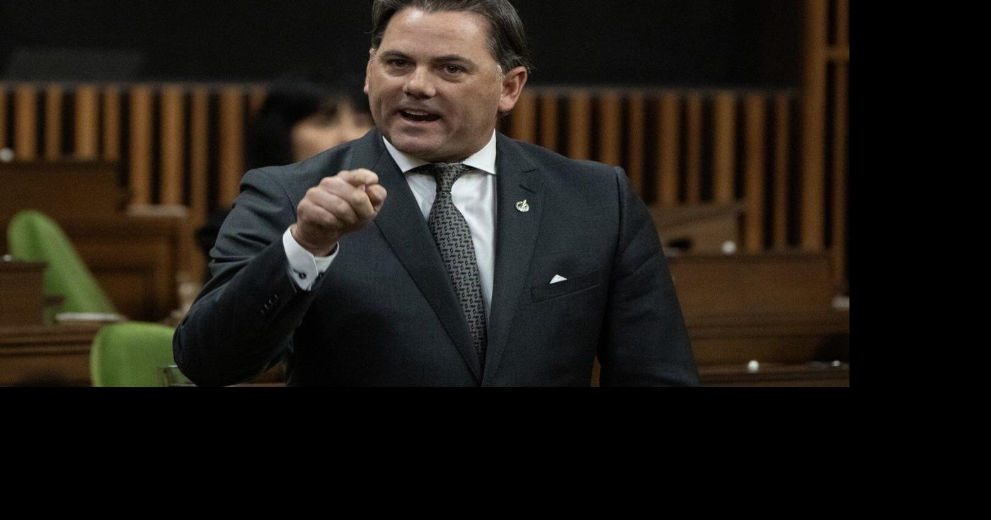 New Brunswick MP Jake Stewart says he's not running in the next ...