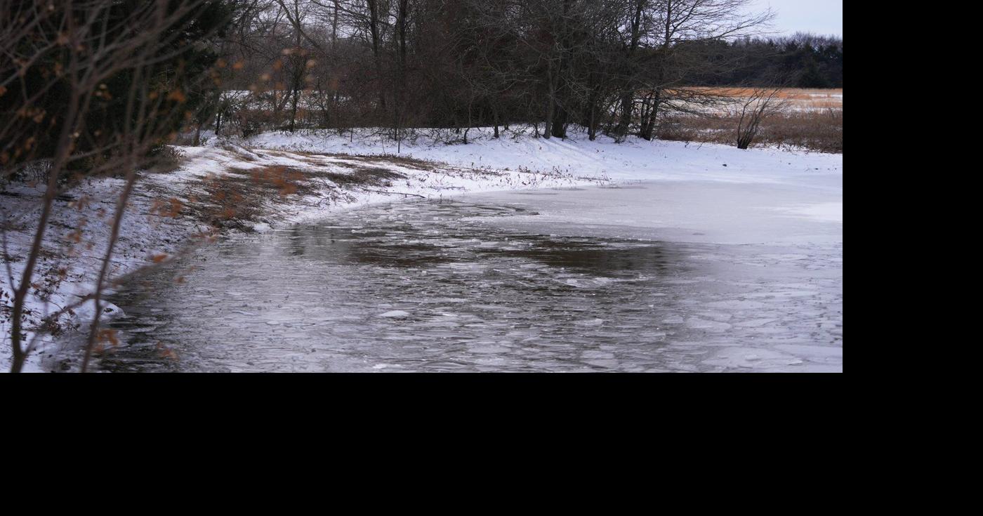 'They were just screaming.' Mom unable to save 3 sons who fell through ...