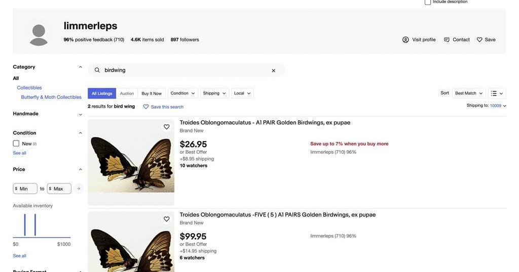 Rare birdwing butterflies star in federal case against NY man accused ...