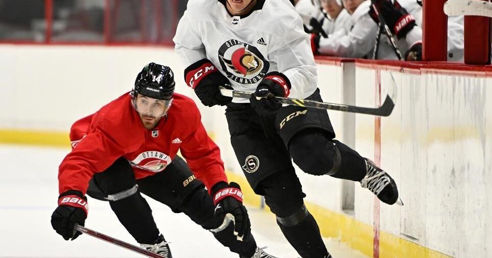 Senators sign forward Cole Reinhardt to one-year, two-way contract ...