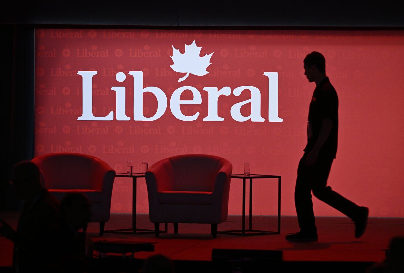 Liberal leadership race: A look at the potential candidates | Politics ...