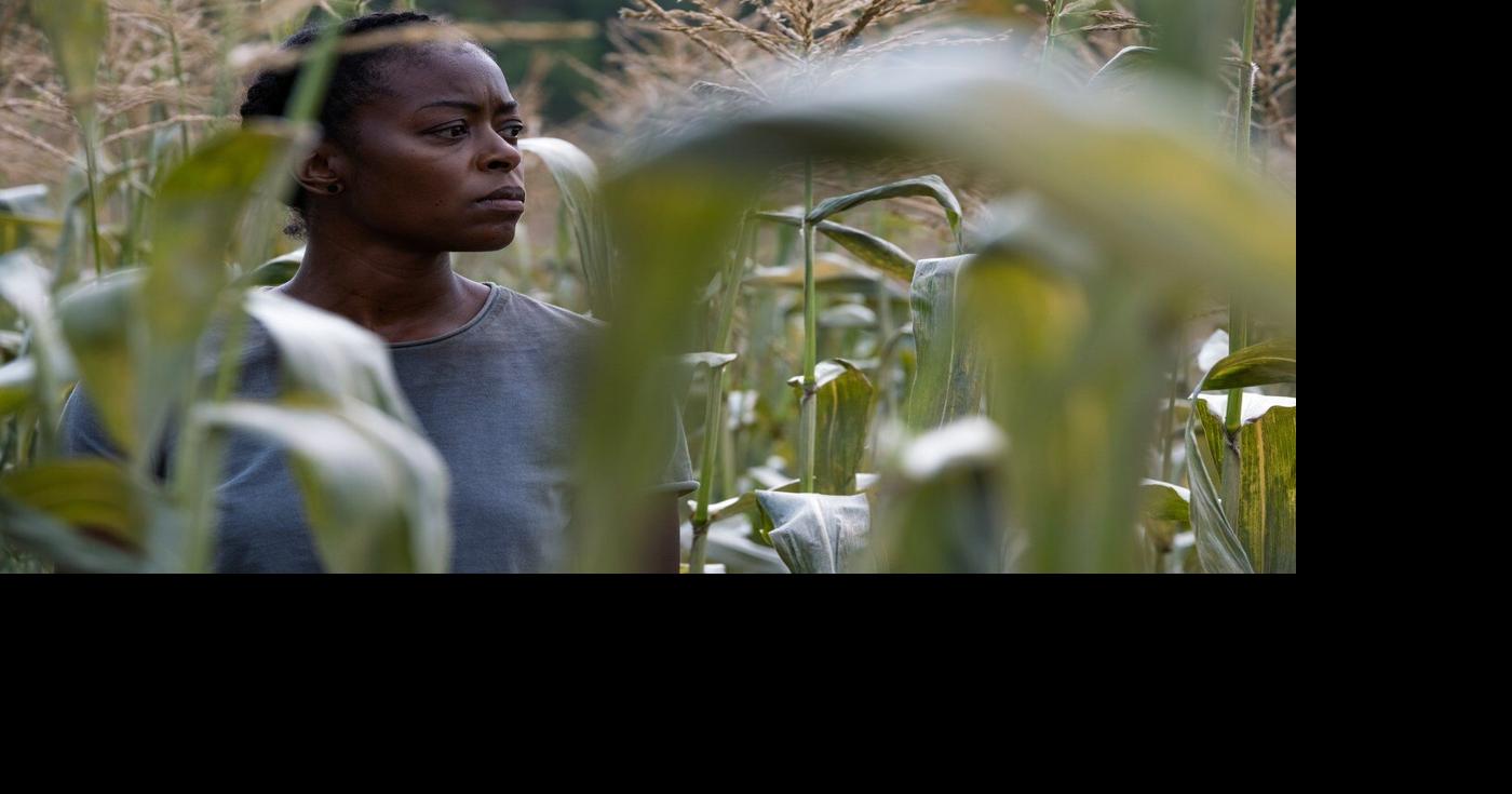 'Incredibly ambitious and probably really stupid': R.T. Thorne's sci-fi ...