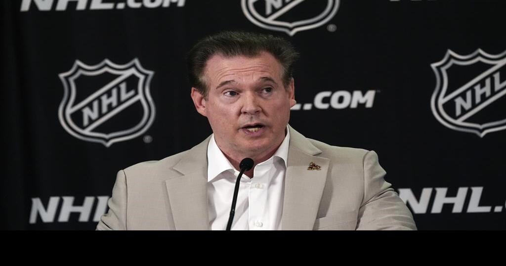 Alex Meruelo backing out of ownership of Coyotes after land auction ...