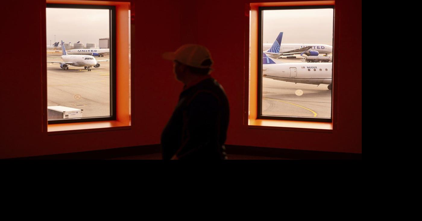 People often miscalculate climate choices, a study says. One surprise is owning a dog | Science ...