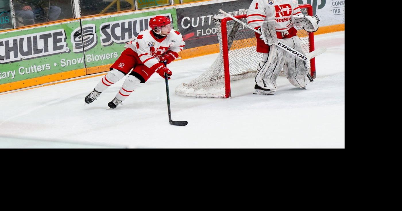 Saskatchewan hockey team Notre Dame Hounds set to relocate | Sports ...