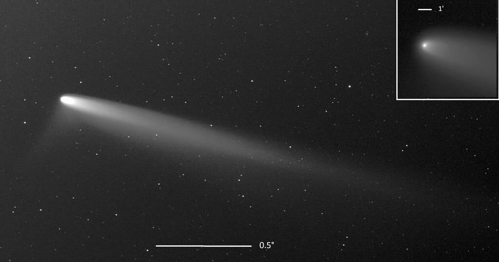 A rare comet brightens the night skies in October | Science News | thecanadianpressnews.ca