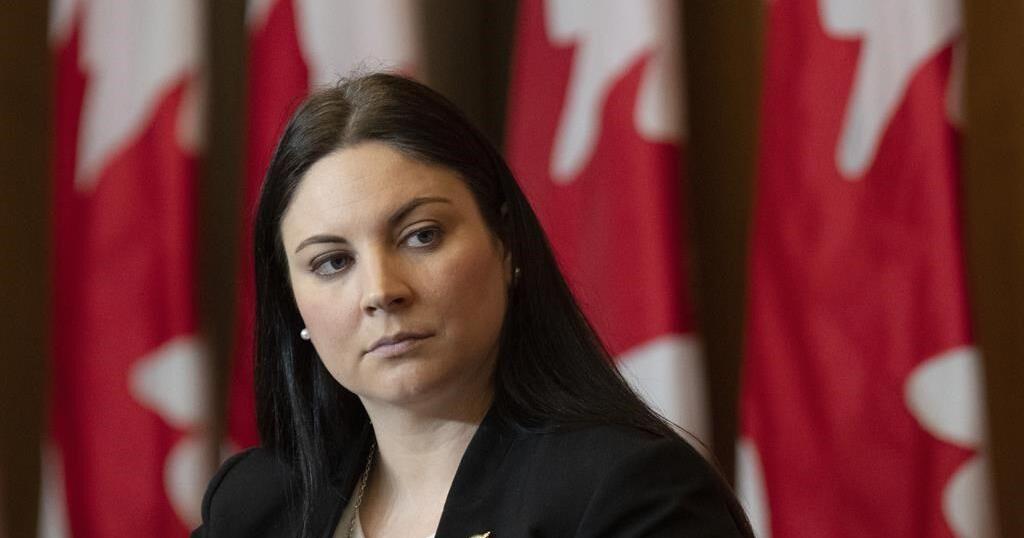 Federal Liberal joins call for investigation into mysterious N.B. brain ...