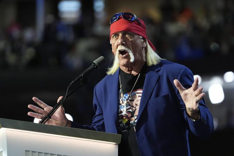 hulk hogan 8d