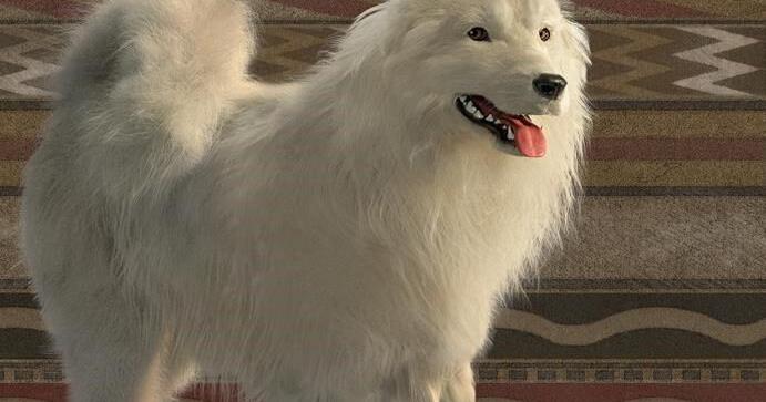 Study shows colonials forced Indigenous woolly dogs into extinction ...