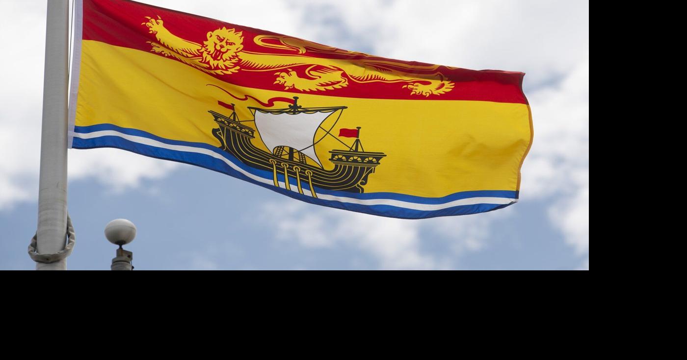 Saint John, N.B., police chief claims officer complaints against him ...