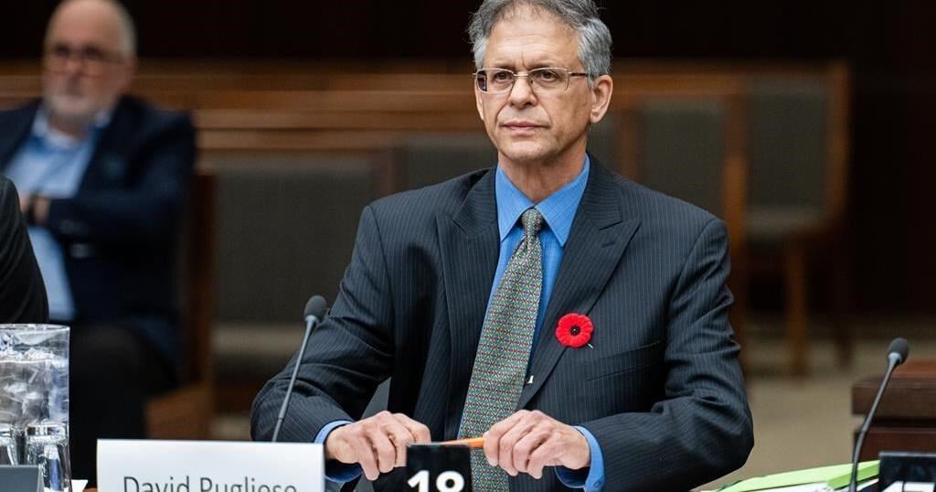 Reporter accused of being Russian spy tells MPs they fell for ...