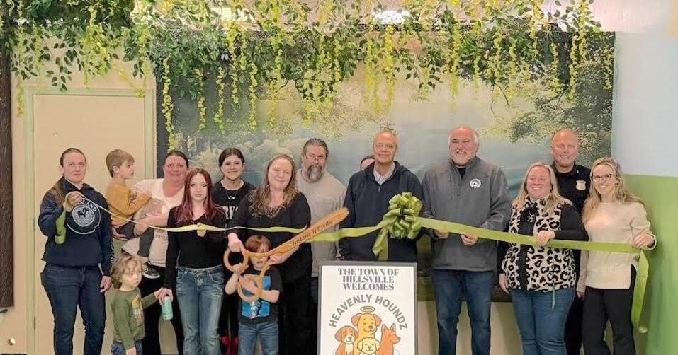 Heavenly Houndz Doggie Daycare with a difference | Zootechnics ...