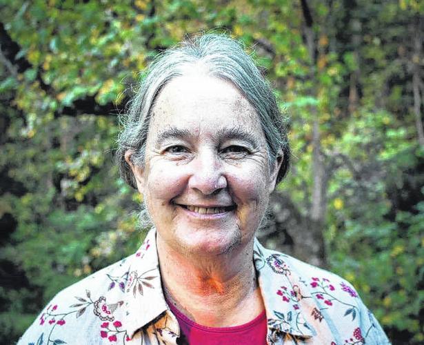 Four vie for Fancy Gap seat on Carroll School Board | Local News ...