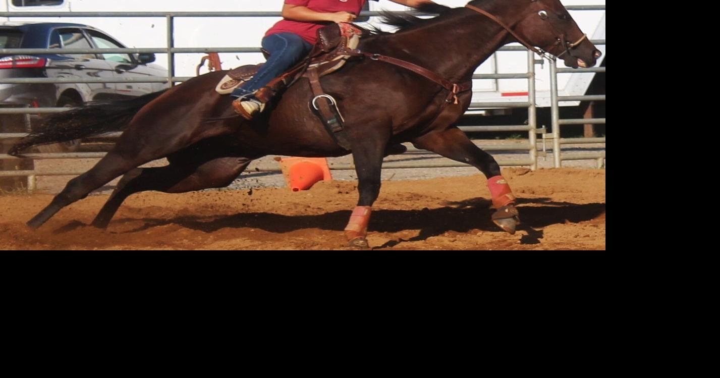 JM Stables holds NBHA04 arena finale | News | thecarrollnews.com