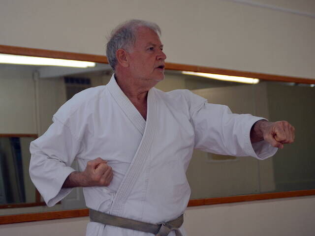 Karate dojo opens in Hillsville | Local News | thecarrollnews.com