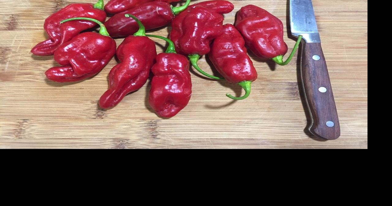 Managing the heat of hot peppers | News | thecarrollnews.com