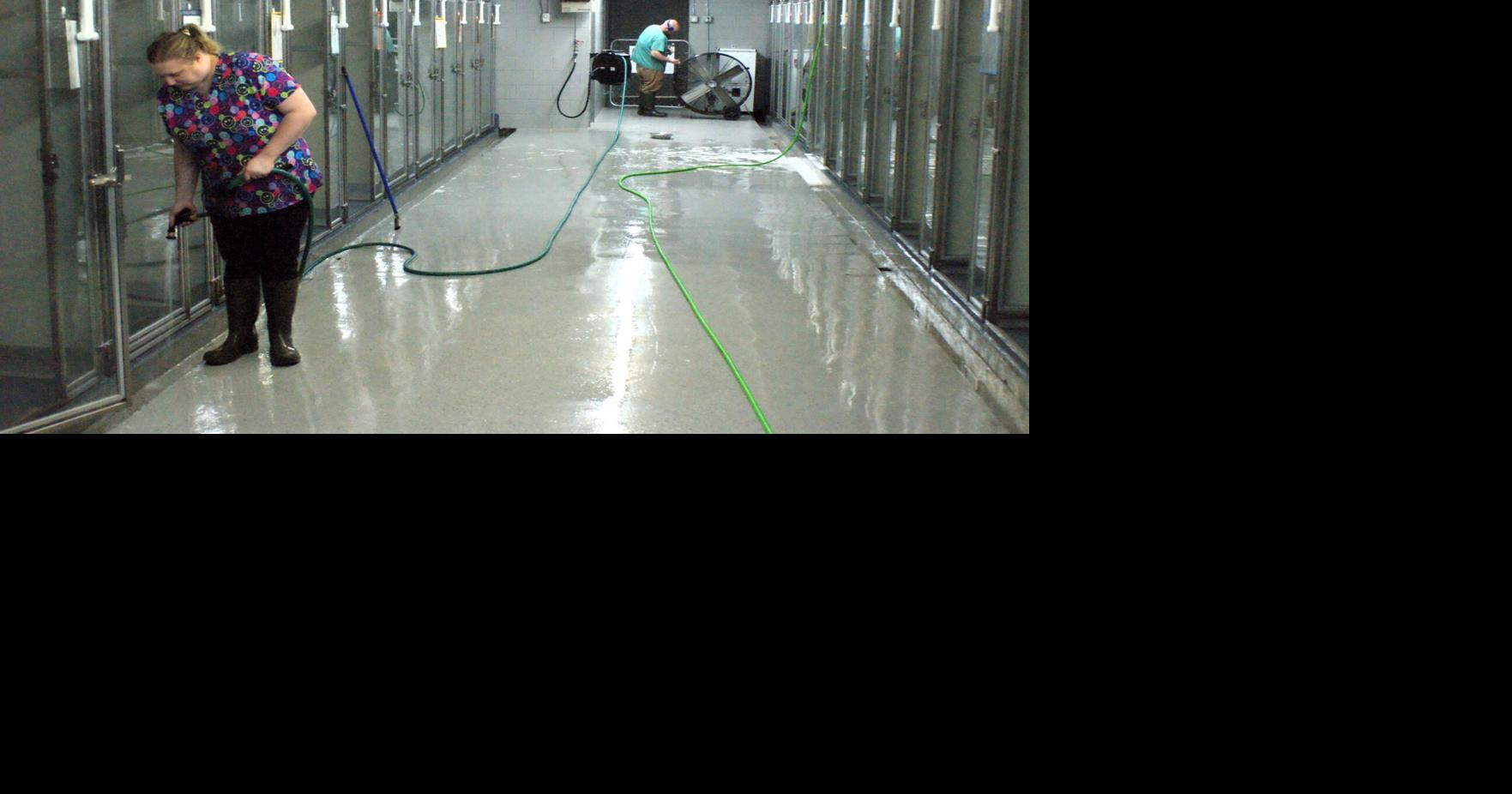 Galax-Carroll-Grayson Animal Shelter renovation project completed ...