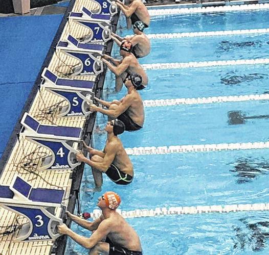 Swim Forest Swim | Local News | thecarrollnews.com