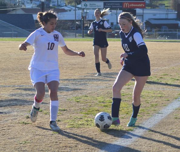 Spring Sports Cover | Sports | thecarrollnews.com