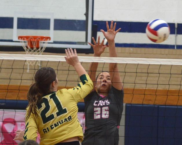 Ervin named TRD Player of the Year | Sports | thecarrollnews.com