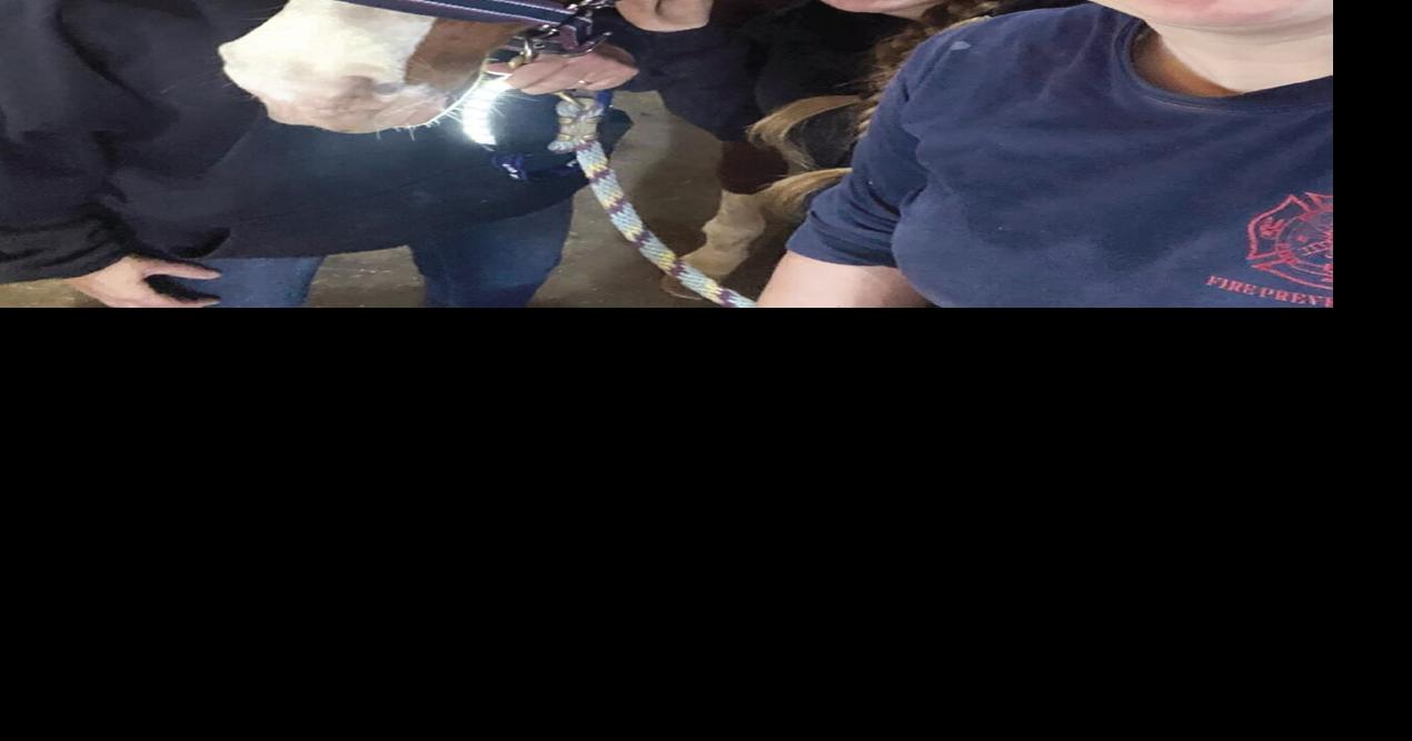 Art of a Farrier: Business fits horses’ hooves, mentors | News ...