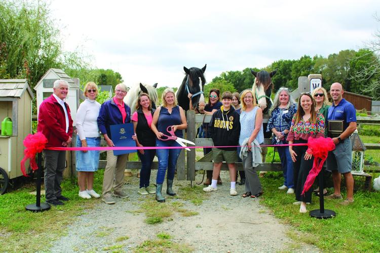 Chronicle Farm Series: Blue Iris celebrates | News | thechronicle.com