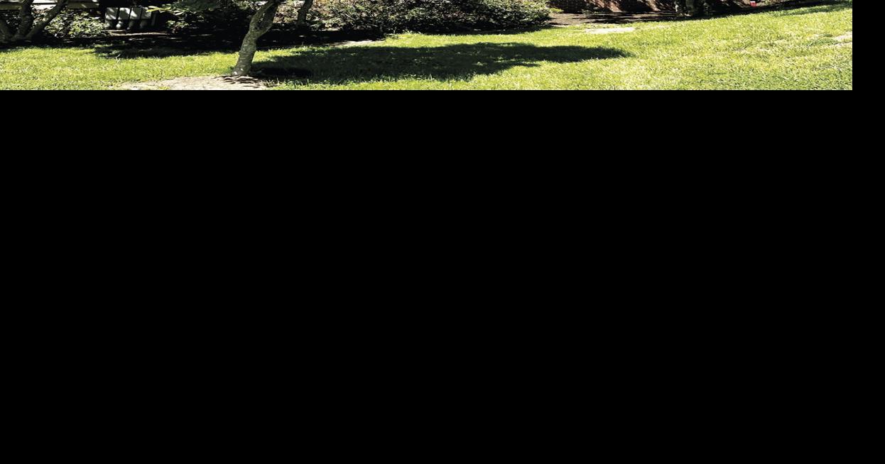 Freestanding Birthing Center community forum is Thursday | News ...