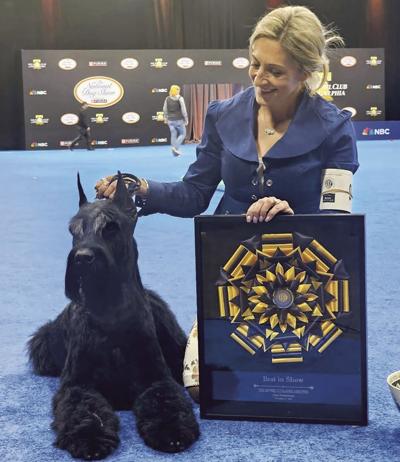 Dog Show Winners: Chaplin resident, ‘Monty’ team for victory | News ...