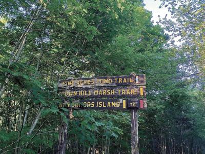 Hike Sunday at Goodwin State Forest in Hampton | News | thechronicle.com
