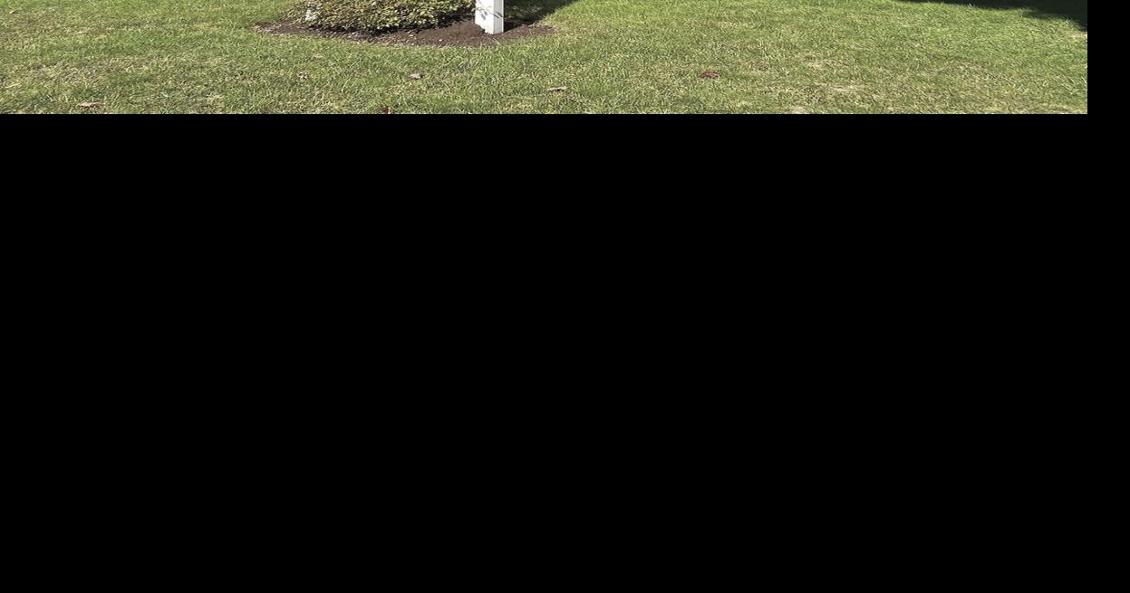 Protest against Trump today in Willimantic | News | thechronicle.com