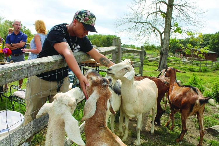 Chronicle Farm Series: Blue Iris celebrates | News | thechronicle.com