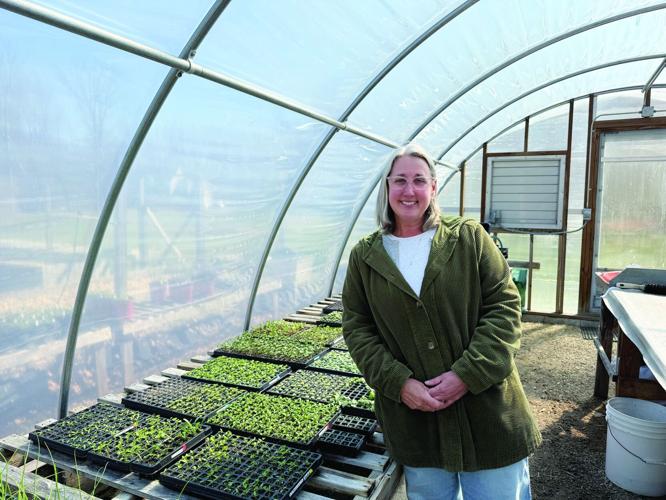 Self Sustaining Lifestyle: Familial farm sells organic seedlings | News ...