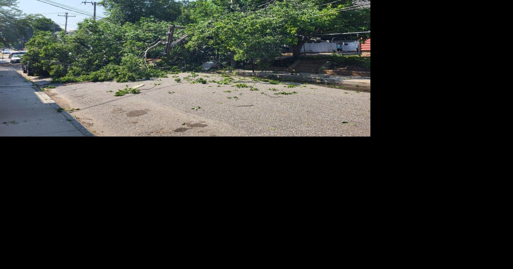 Fallen Tree causes Power Outage on Spring St. | News | thechronicle.com