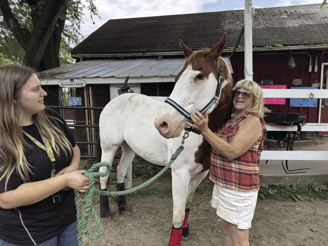 Farm rescues animals, holds camps | News | thechronicle.com