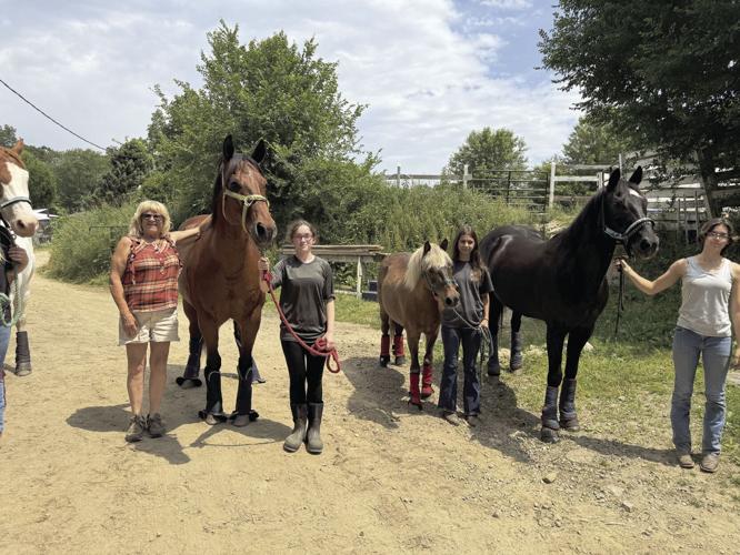 Farm rescues animals, holds camps | News | thechronicle.com