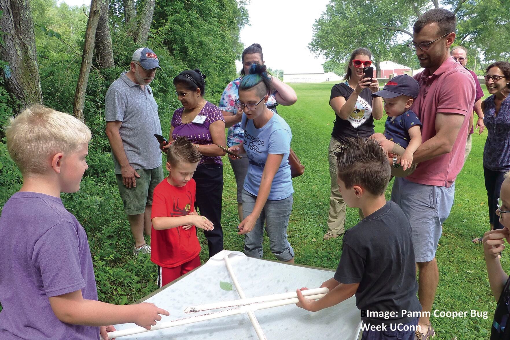 UConn Extension to celebrate Bug Week this month | News | thechronicle.com
