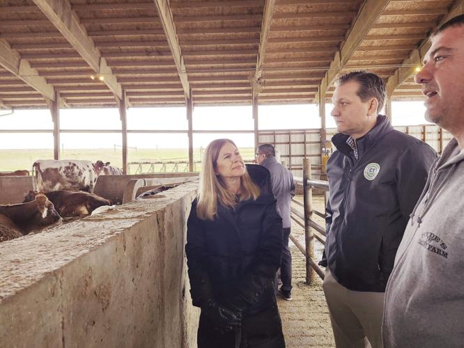 Milking attention on a special day | News | thechronicle.com