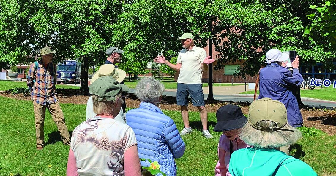 UConn Arboretum Committee to host guided tour | News | thechronicle.com