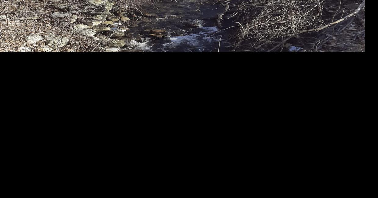 The Threads That Connect Us: In 1926 the Edelman family from the ...