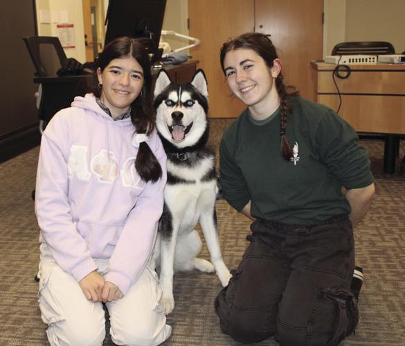 Jonathan Crowned: UConn makes 15th Husky official | News | thechronicle.com