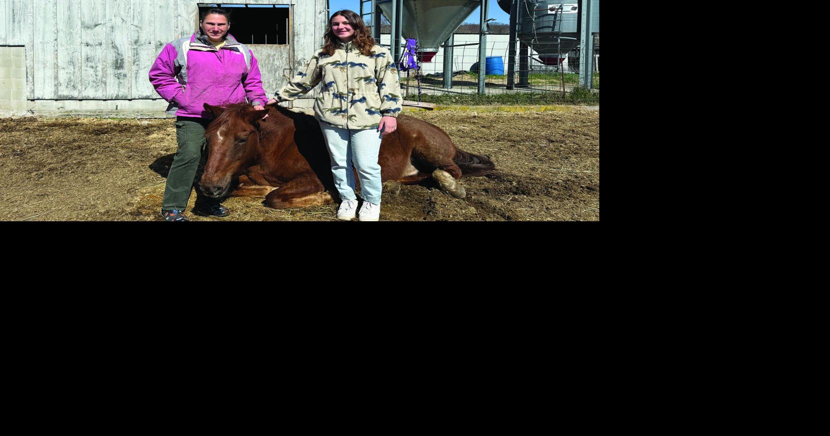 Hope Farm Animal Sanctuary: A Lifelong Commitment to Rescuing Abandoned ...