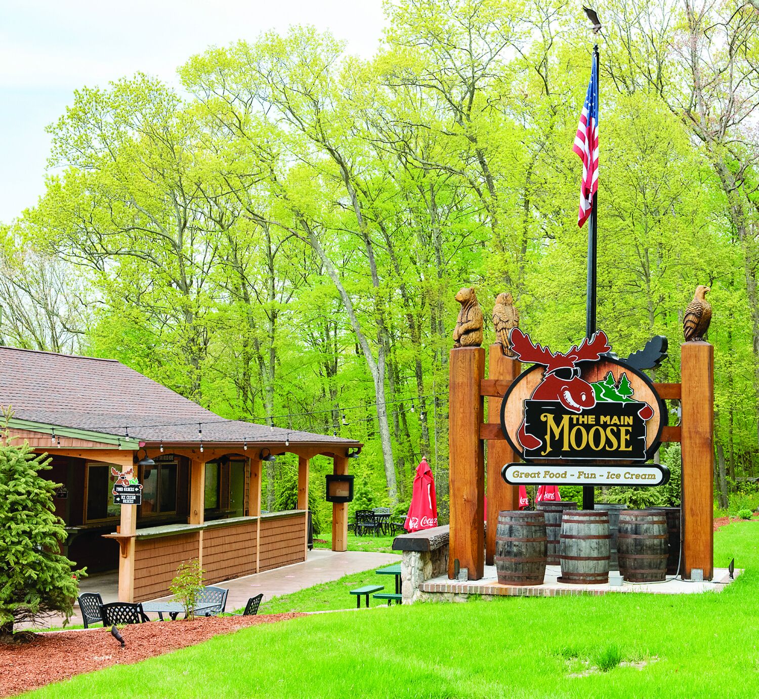 Moose on the Loose: The Main Moose is up for sale | News | thechronicle.com