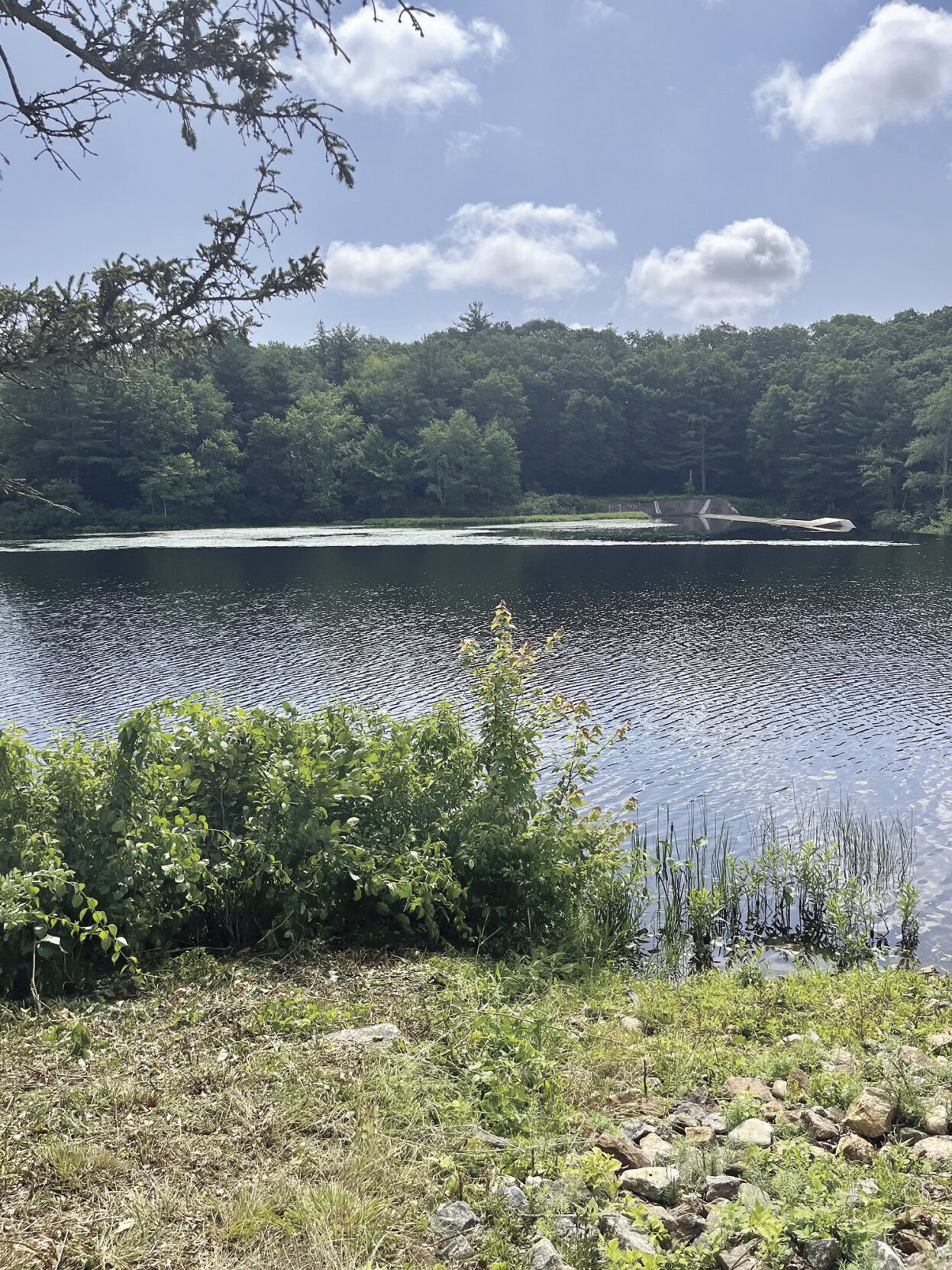 Windham Water Works to bond $655,000 for water meters | News ...