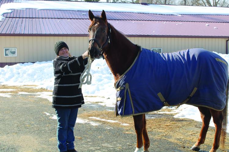 Chronicle Farm Spotlight: Indian Hollow Stables | News | thechronicle.com