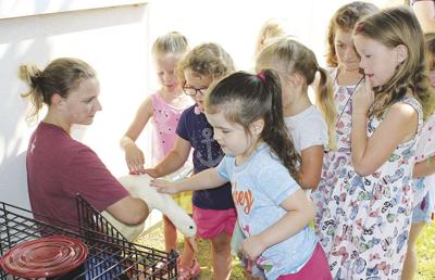 Fun with farm animals | News | thecorryjournal.com