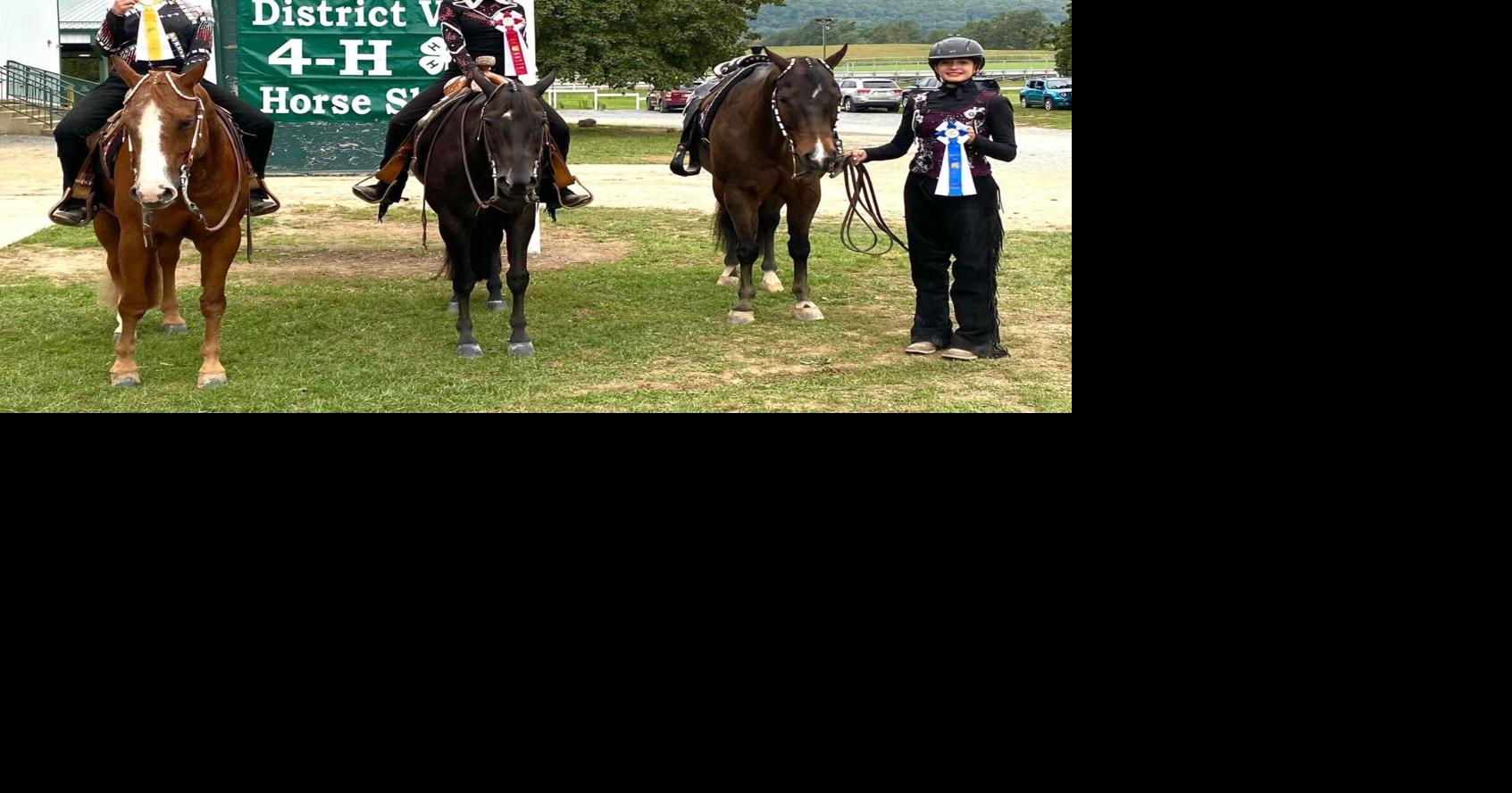 Sugar Grove Ruff Riders have strong showing at horse show | Hometown ...