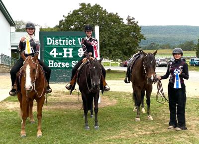 Sugar Grove Ruff Riders have strong showing at horse show | Hometown ...