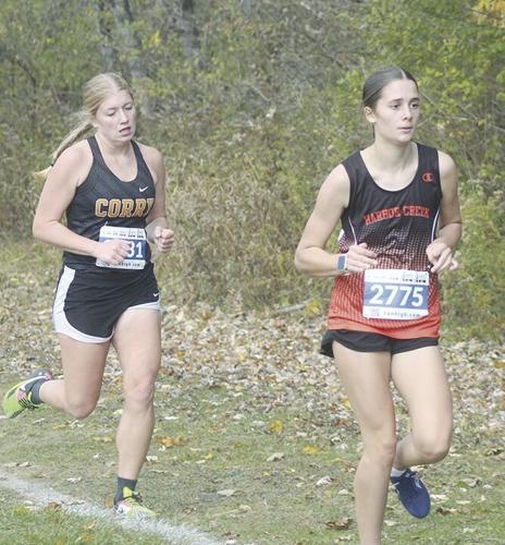 Corry's Fox region XC runner of the year; Zinz again on first team ...