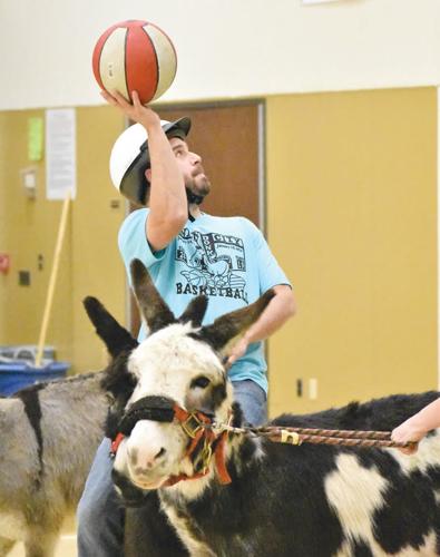 Donkey basketball kicks up win for Union City PTO | Hometown News ...
